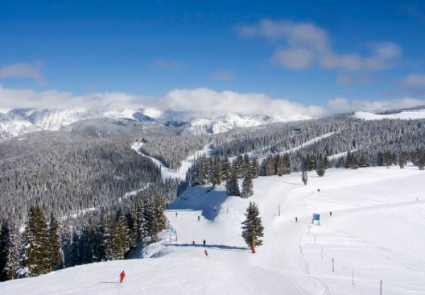 Vail Valley Area Information | Vail Management Company